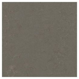 forbo Linoleum Marmoleum Click nebula Bodenbelag, 30x30 cm