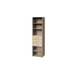 Regal Multischrank-System - holzfarben - 30 cm - 185 cm - 40 cm - Sconto