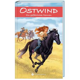 cbj Ein gefährliches Rennen / Ostwind Abenteuerreihe Bd.5 - Rosa Schwarz, Gebunden
