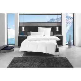 Gänsedaunenbettdecke F.A.N. Schlafkomfort "f.a.n. Alaska" Bettdecken Gr. B/L: 200 cm x 200 cm, warm, weiß Allergiker Bettdecke