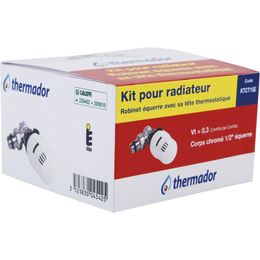 Thermador - Set für Heizkörper, Eckventil 15x21 (1/2') mit Thermostatkopf ttc