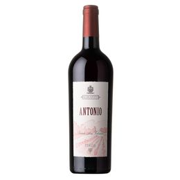 Giusti Wine 2020 Antonio Montello e Colli Asolani DOC trocken