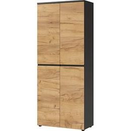 Germania Aktenschrank Lissabon, 4266-549 grafit 4 Fachböden 80,0 x 40,0 x 197,0 cm