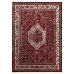 Theko Orientteppich &raquo;Sirsa Seta&laquo; rechteckig 12 mm H&ouml;he handgekn&uuml;pft, Material: 80% Wolle, 20% Seide, mit Fransen rot/creme Obermaterial: 80%...