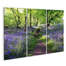 islandburner Leinwandbild Bild auf Leinwand Blaue Glocken Gesamtstruktur In Schottland 130x80cm