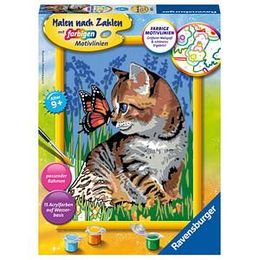 Ravensburger Malen-nach-Zahlen Katze mit Schmetterling mehrfarbig