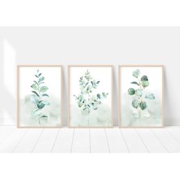 homestyle-accessoires Poster Bilder Set WandbilderEUCALYPTUS TRIO AQUARELLE 3er