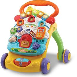 Vtech® Lauflernwagen VtechBaby, Lauflernwagen, mit Sound, bunt