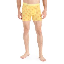 Icebreaker Merino Anatomica Boxershorts - Mann - Summer - Größe XL