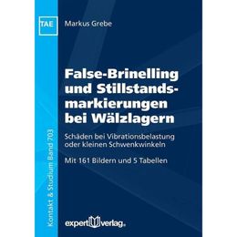 False-Brinelling und Stillstandsmarkierungen bei Wälzlagern - Markus Grebe, Taschenbuch