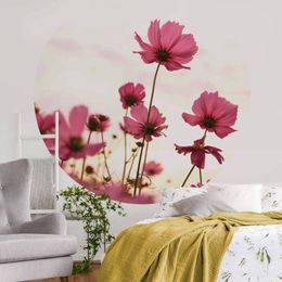 K&L WALL ART Runde Fototapete Blumen Tapete Pinke Kosmeen Vliestapete Wohnzimmer Wandbild ø 188cm - rosa
