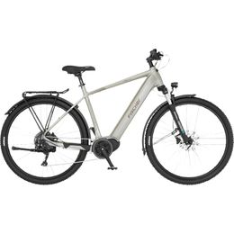 Fischer Terra 4.0I All Terrain Bike (ATB) (Laufradgröße: 29 Zoll, Rahmenhöhe: 55 cm, Herren-Rad, 630 Wh, Greige)