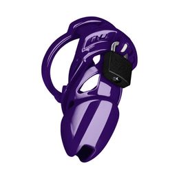 Chastity Standard