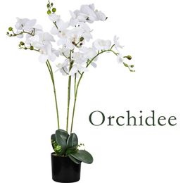 Decovego - Künstliche Orchidee Kunstpflanze Künstliche Pflanze Kunstblume Innendekoration Kunst Pflanze wie echt im Topf Auswahl