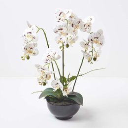 Homescapes - Künstliche weiße Phalaenopsis-Orchidee im schwarzen Keramik-Topf, 62 cm - Weiß