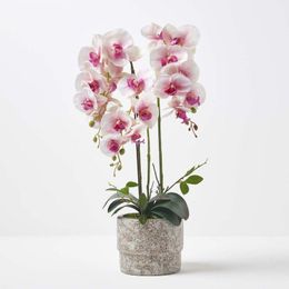 Homescapes - Künstliche pink-weiße Phalaenopsis-Orchidee im hellgrauen Zement-Topf, 64 cm - Rosa-Weiß