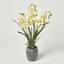 Homescapes - Künstliche weiß-grüne Orchidee im dunkelgrauen Zement-Topf, 82 cm - Weiß-Grün