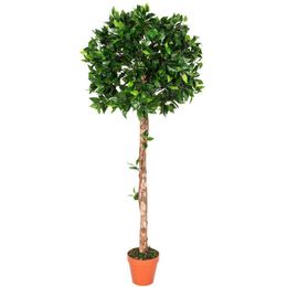 Homescapes - Kunstpflanze Grün 'Ficus Tropische Zierpflanze' im Topf, 125 cm - Blätter: Grün, Topf: Braun
