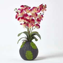 Kunstblumen Phalaenopsis Orchidee Rosa mit einem natürliche Sockel, 60 cm hoch - Rosa & Crème - Homescapes