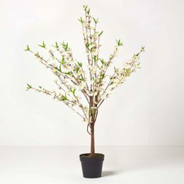 Homescapes - Kunstbaum mit Kirschblüten, Creme, 135cm hoch - Creme