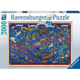 Ravensburger Puzzle Sternbilder, 2000 Puzzleteile, Made in Germany; FSC® - schützt Wald - weltweit, bunt
