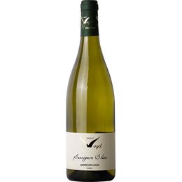 Siegfried Vogel 2023 Sauvignon Blanc "Geniesser Wein" trocken