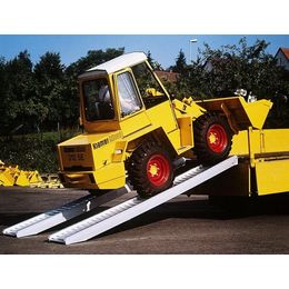 Altec Verladeschiene Aluminium AVS 80 mit Schutzrand