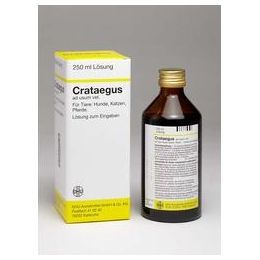 DHU-Arzneimittel Crataegus Dilution vet. 250 ml