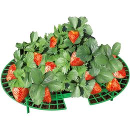 Erdbeer-Reifer 15er Set, 15er Set, Grün, Polypropylen grün - grün - Wenko