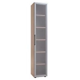 geramöbel Geramoebel Aktenschrank Speed Office 5 Fachböden 2 Glastüren Ahorn 400 x 420 x 2.160 mm