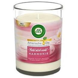 Airwick Air Wick Aroma-Duftkerze Harmonie 4 Stück à 220 g