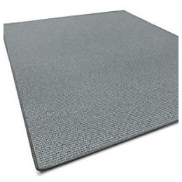 Floordirekt Teppich Carlton 23771 Hellgrau Rechteckig 1000 mm x 1500 mm