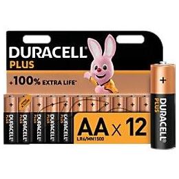 Duracell-Batterien Plus 100 AA 1,5 V 12 Stück