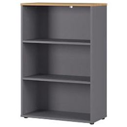 Germania Bücherregal 4231-564 Eiche, Grau 800 mm (B) x 400 mm (T) x 1200 mm (H)