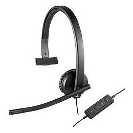 Logitech USB Headset H570e - Headset - über dem Ohr - vertikal (981-000571)