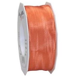 PRÄSENT PRAESENT Seidenband 4644025-034 Lachs 40 mm x 25 m 2 Stück