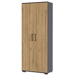 Germania Aktenschrank GW-Profi 2.0 4250-564 Dunkelgrau, Hellbraun 800 mm (B) x 400 mm (T) x 2000 mm (H)