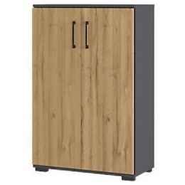 Germania Aktenschrank GW-Profi 2.0 4247-564 Dunkelgrau, Hellbraun 800 mm (B) x 400 mm (T) x 1230 mm (H)