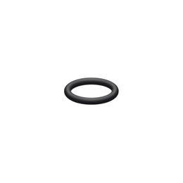 O-Ring 20x2,5 EPDM (100 St&uuml;ck)