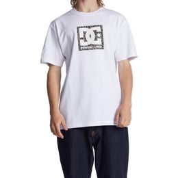 DC Shoes T-Shirt »DC Square Star Fill« White/Elephant L L Stoff: BaumwollStoff [200 g/m2]