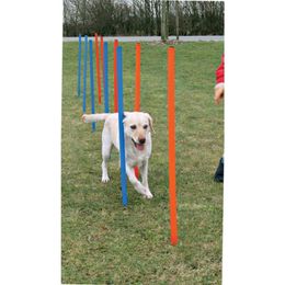 SONSTIGE Dog - Agility - Slalom
