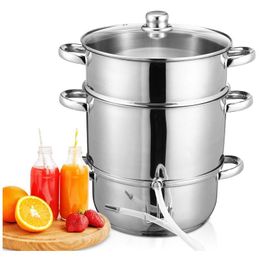 Edelstahl Dampfentsafter 8 Liter mit Schlauch + Klemme Fruchtentsafter,Induktion Entsafter Saftpresse Obst - Silber - Swanew