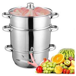 TolleTour Edelstahl Dampfentsafter 8 Liter mit Schlauch + Klemme Fruchtentsafter.Induktion Entsafter Saftpresse Obst - Silber