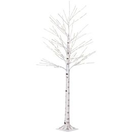 Led Baum Birkenoptik, innen und außen, IP44, warmweiß, Timer, Fernbedienung, 150 cm - VOLTRONIC