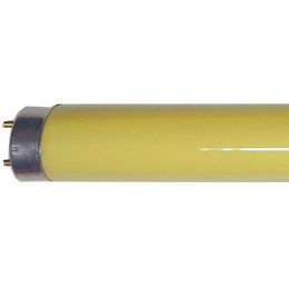 Philips - Leuchtstoffröhre master tl-d - T8, 160 Gelb - 36W (1200mm)