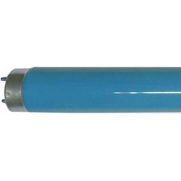 Philips - Leuchtstoffröhre master tl-d - T8, 180 Blau - 58W (1500mm)