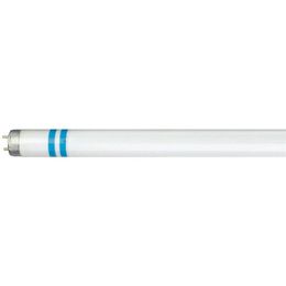 Philips - Leuchtstoffröhre master tl-d Secura - T8, 840 Neutralweiß - 36W (1200mm)