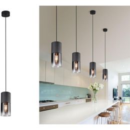 Trio Leuchten - Zeitlose led Pendelleuchte aus schwarz mattem Metall & Rauchglas, 1 x E27