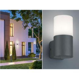 Trio Leuchten - Moderne led Außenwandleuchte in Anthrazit - Außenbeleuchtung Haus & Garten