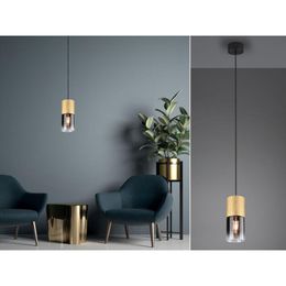 Trio Leuchten - led Pendelleuchte 1 flammig Messing matt mit Rauchglas Schirm ø 10cm